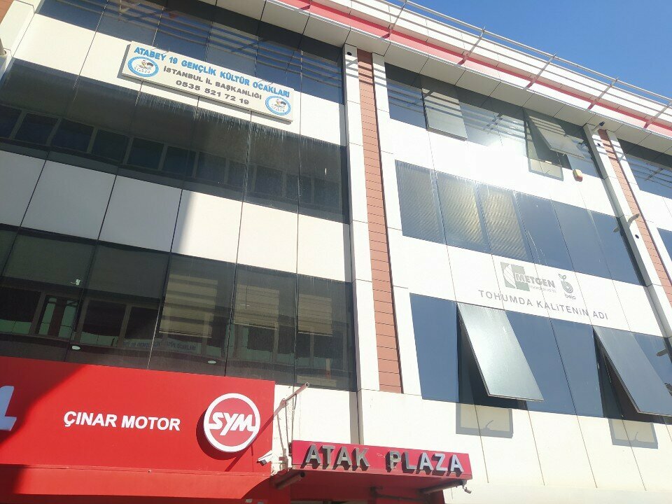 Web tasarım hizmetleri 4 Export Dijital Hizmetler, İstanbul, foto