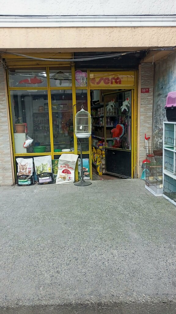 Petshop Den'ey Pet Shop, İstanbul, foto