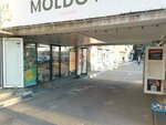Gival Outlet (strada Alexandru cel Bun No:31), giyim mağazası  Ialoveni'den