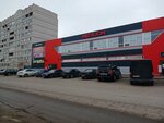 Syrnyye traditsii (Bratya Duysembinovy kóshesi No:4/1), peynirci  Pavlodar'dan