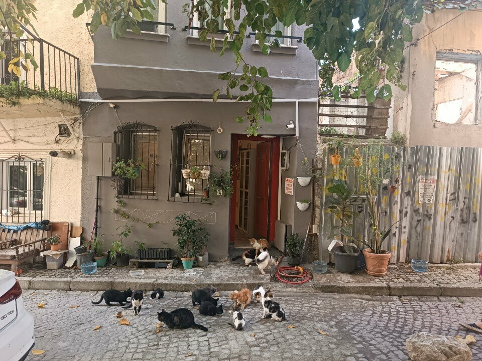 Daireler Midillis Art Apart, İstanbul, foto