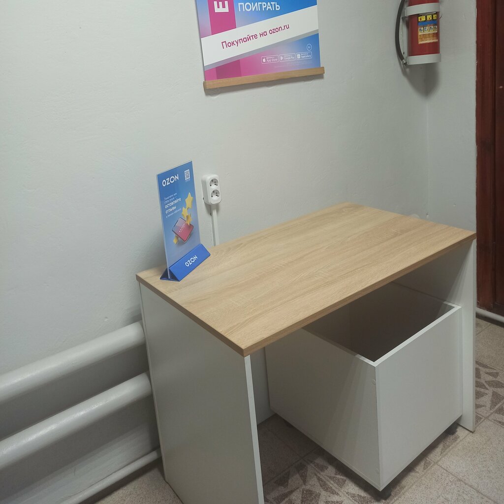 Teslimat noktası Ozon, Riazanskaya oblastı, foto