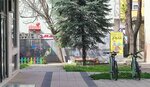 Змај (Ulica Miše Dimitrijevića No:14), anaokulları  Novi Sad'dan