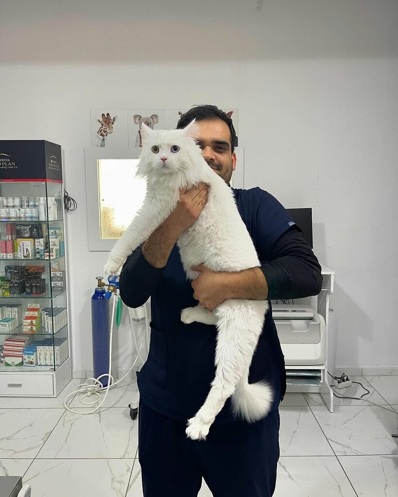 Veteriner klinikleri Vetpool Veteriner Kliniği, Isparta, foto