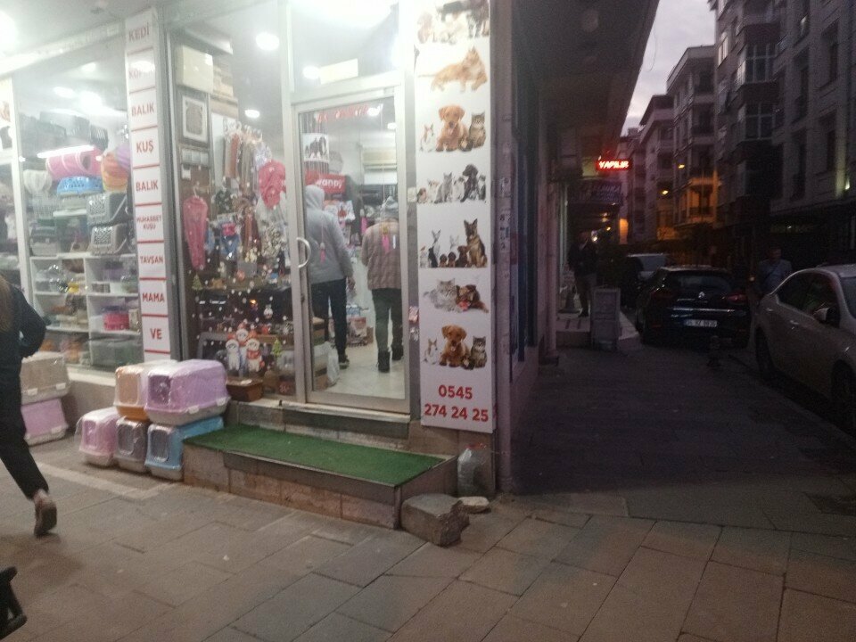 Petshop Alya Petshop, İstanbul, foto