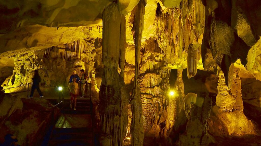 Kamp alanları İğneada Aylak Meşe Kamp Alanı, Demirköy, foto