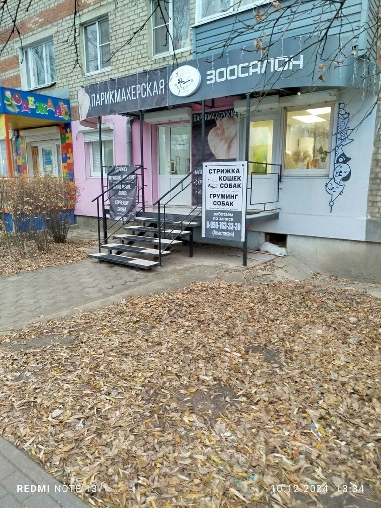 Evcil hayvan kuaförleri Астория Грум, Semiluki, foto
