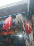 Lucky Autos (Province of Punjab, Lahore, Shalimar College Road), motosiklet tamiri  Lahor'dan