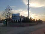 Koçaklar Cami (Konya, Karatay, Fetih Cad., 212), cami  Konya'dan