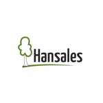 Hansales (Kolomenskaya Street No:9с4), özel mobilya yapımı  Moskova'dan