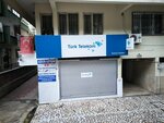 Gün Spot (Özgürlük Mh., Mithat Paşa Cd., No: 71/B, Kepez, Antalya), yapay bitki ve çiçek  Antalya'dan