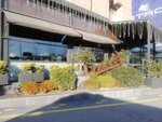 Zaxi Restaurant (İstanbul, Büyükdere Cad., 233), restoran  İstanbul'dan