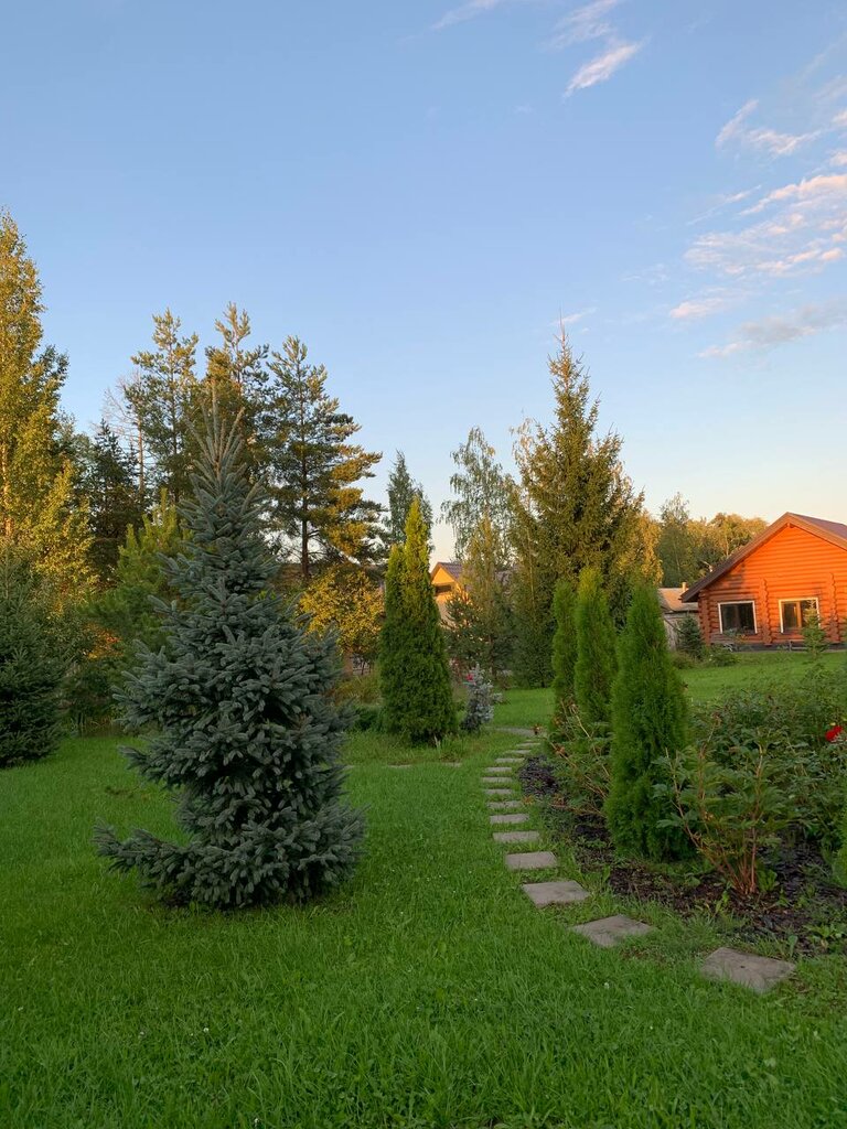 Peyzaj tasarımı ZdravSad, Moskova, foto