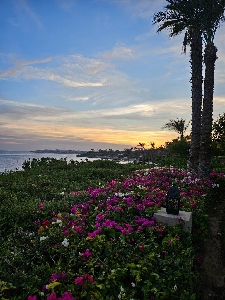 Seyahat acenteleri GourmoeTour, Moskova, foto