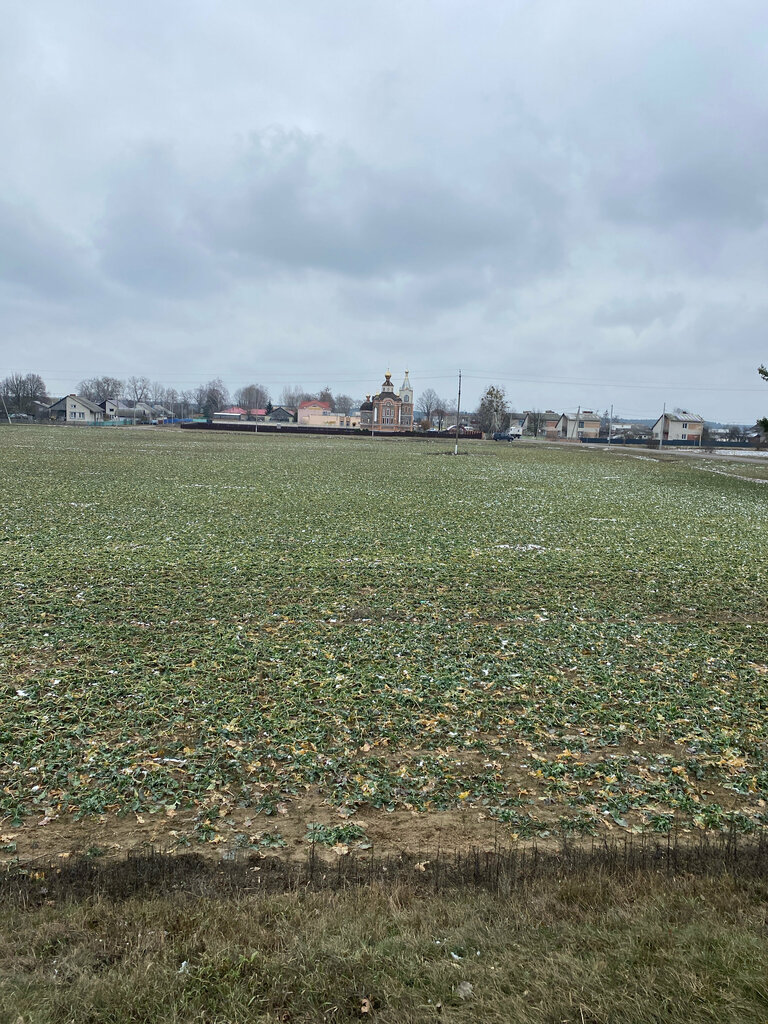 Market РУП «Гомельэнерго» филиал «Дубрава-агро», Gomelskaya oblastı, foto