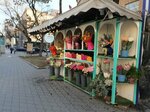Flowers (Byron Street No:5), çiçekçiler  Erivan'dan
