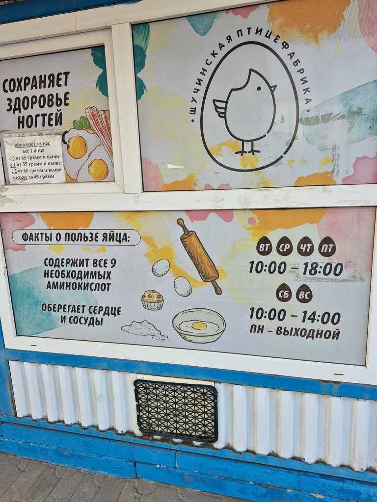 Kanatlı hayvan ürünleri ve yumurta Щучинская птицефабрика, Lida, foto
