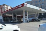 Lukoil (Сity ​​of republican subordination Baku, Binеqеdi Highway, 38), benzin istasyonu  Bakü'den
