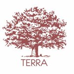 Terra (Telmana Street No:142), çiçek teslimatı  Engels'ten