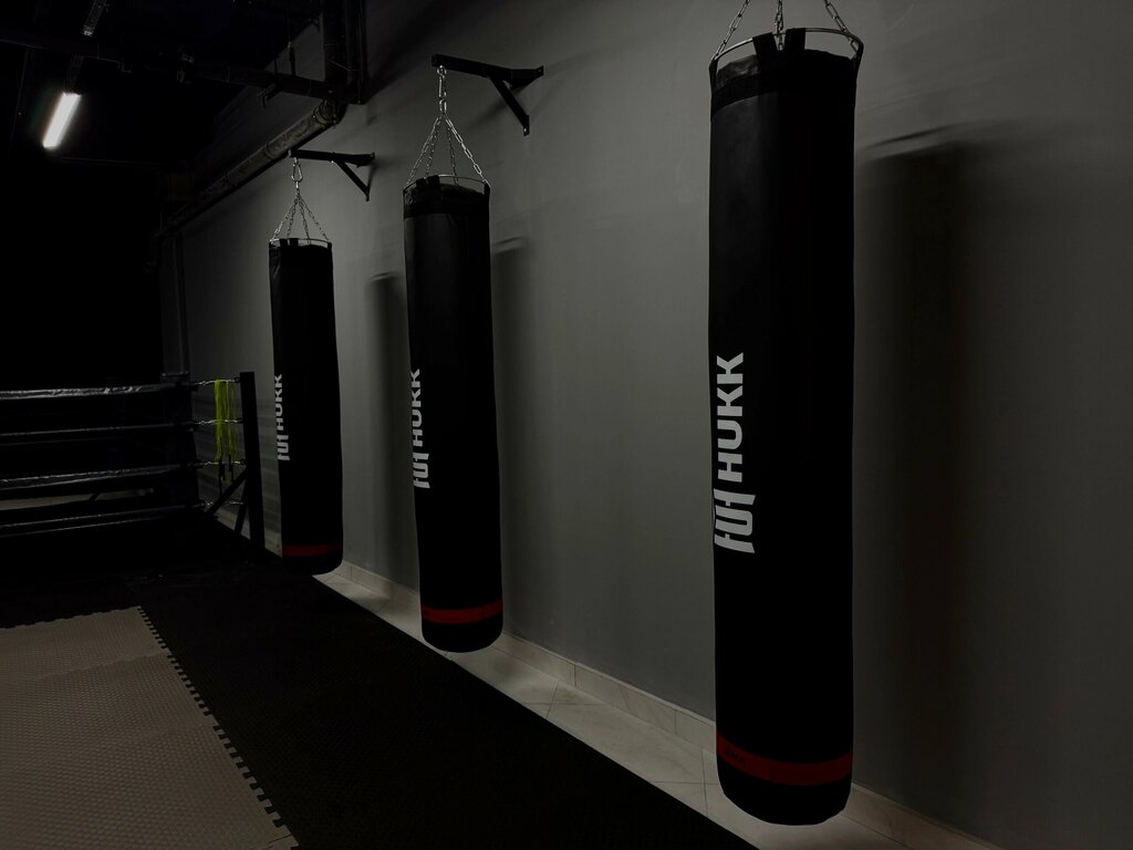 Spor kulüpleri Gorilla Fighting, Voronej, foto