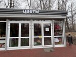 Цветы (Yaroslavl, Spartakovskaya Street), yapay bitki ve çiçek  Yaroslavl'dan