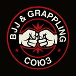 Soyuz Bjj (ulitsa Stepantsa No:6/1), spor kulüpleri  Omsk'tan