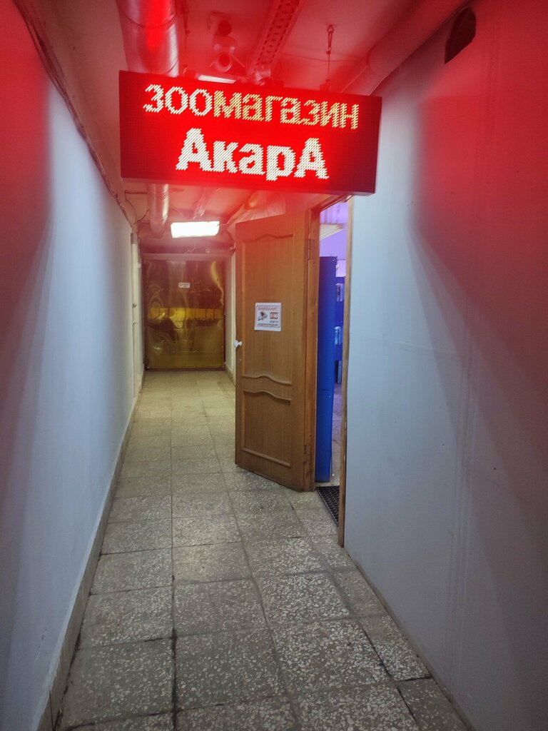 Petshop AkarA, Nijni Novgorod, foto
