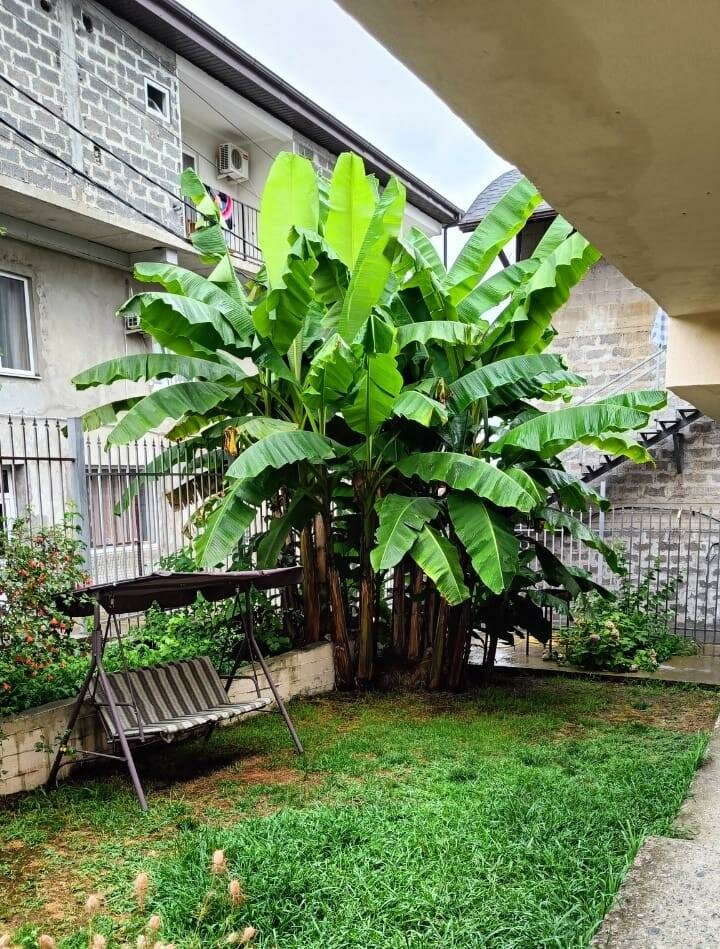 Otel Банановый рай, Soçi, foto