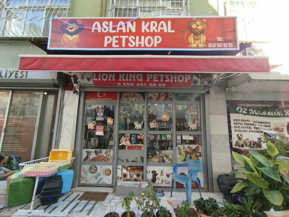 Petshop Aslan Kral, İzmir, foto