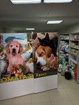 ХвостУшки (vulica Vialiki Hasciniec No:161), petshop  Molodchenko'dan