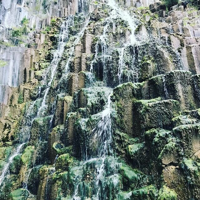 Tarım firmaları Yeşil Dağın Çiftliği, Ankara, foto