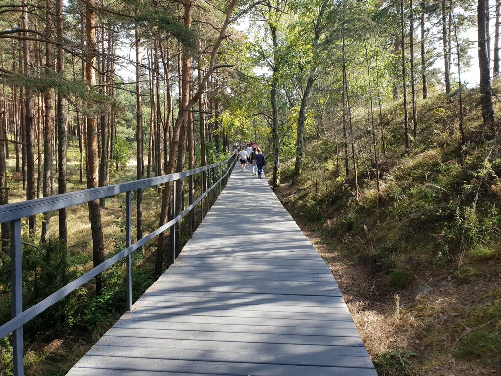 Turistik yerler Пешеходный экологический маршрут Высота Эфа, Kaliningradskaya oblastı, foto