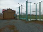 Cementnik (Jambıl Jabaev Street No:9/1), spor okulları  Semey'den