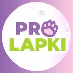 Prolapki (Oktyabrya Avenue No:4/1), evcil hayvan kuaförleri  Ufa'dan