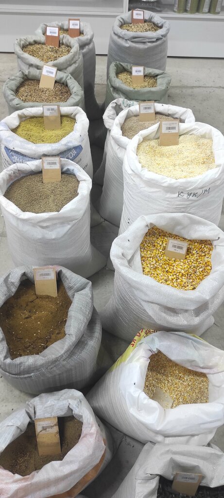 Yem ve yem katkı maddeleri Khutorok, Temirtav, foto