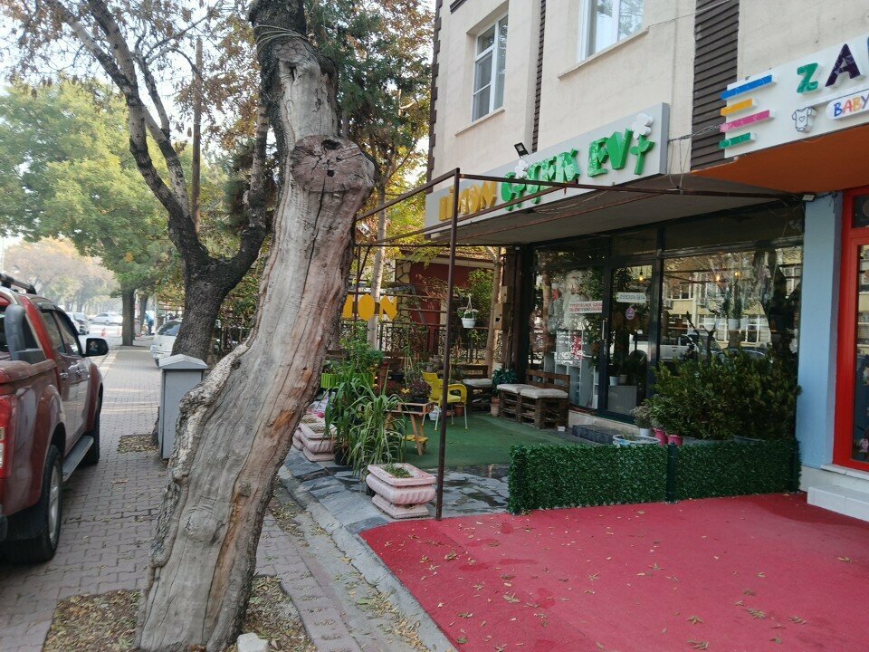Çiçekçiler Limon Çiçek Evi, Konya, foto