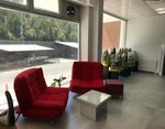 Veteriner Kliniği (Amasya, Amasya Merkez , Hoca Ahmet Yesevi Cad., 36A), veteriner klinikleri  Amasya'dan