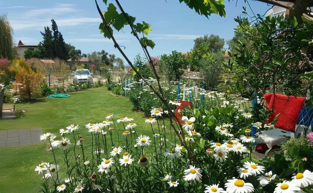 Pansiyonlar, hosteller Ceren Pansiyon, Milas, foto