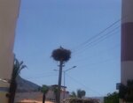 Eskin Halı Yıkama (Turunçova Mah., Adnan Menderes Cad., No:53, Finike, Antalya), halı yıkamacılar  Finike'den