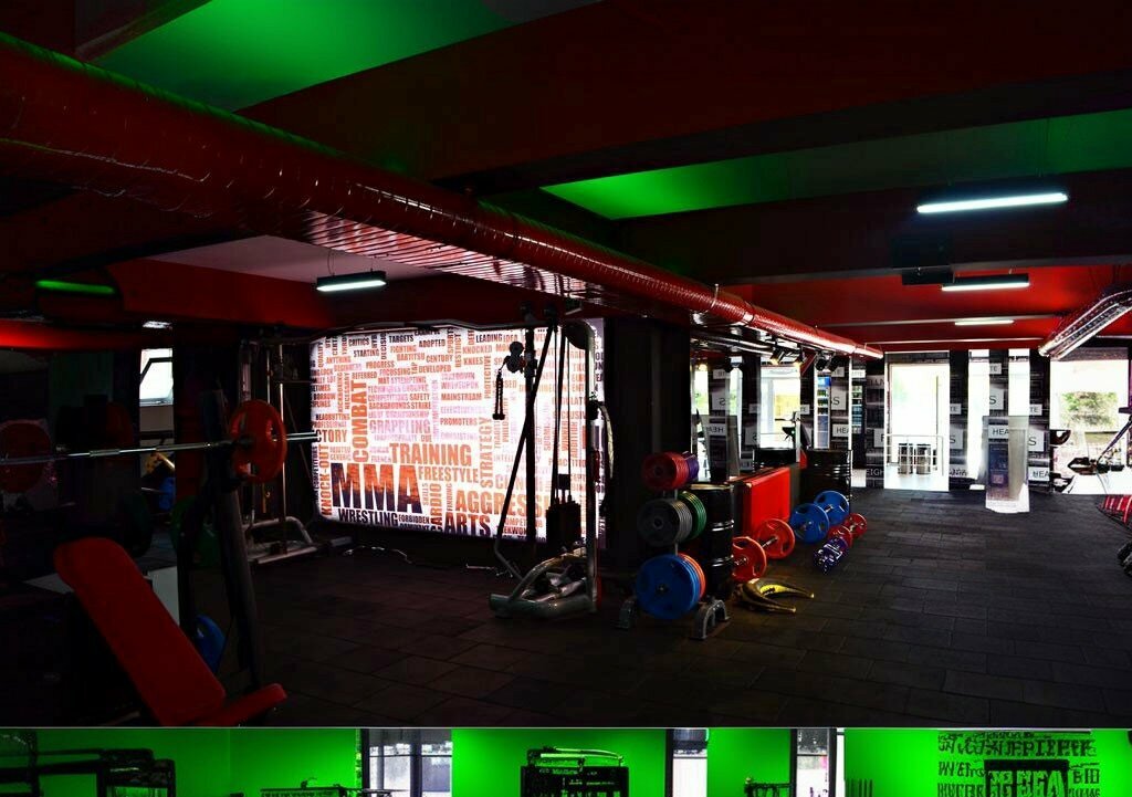 Fitness kulüpleri Bear Gym, Talas, foto