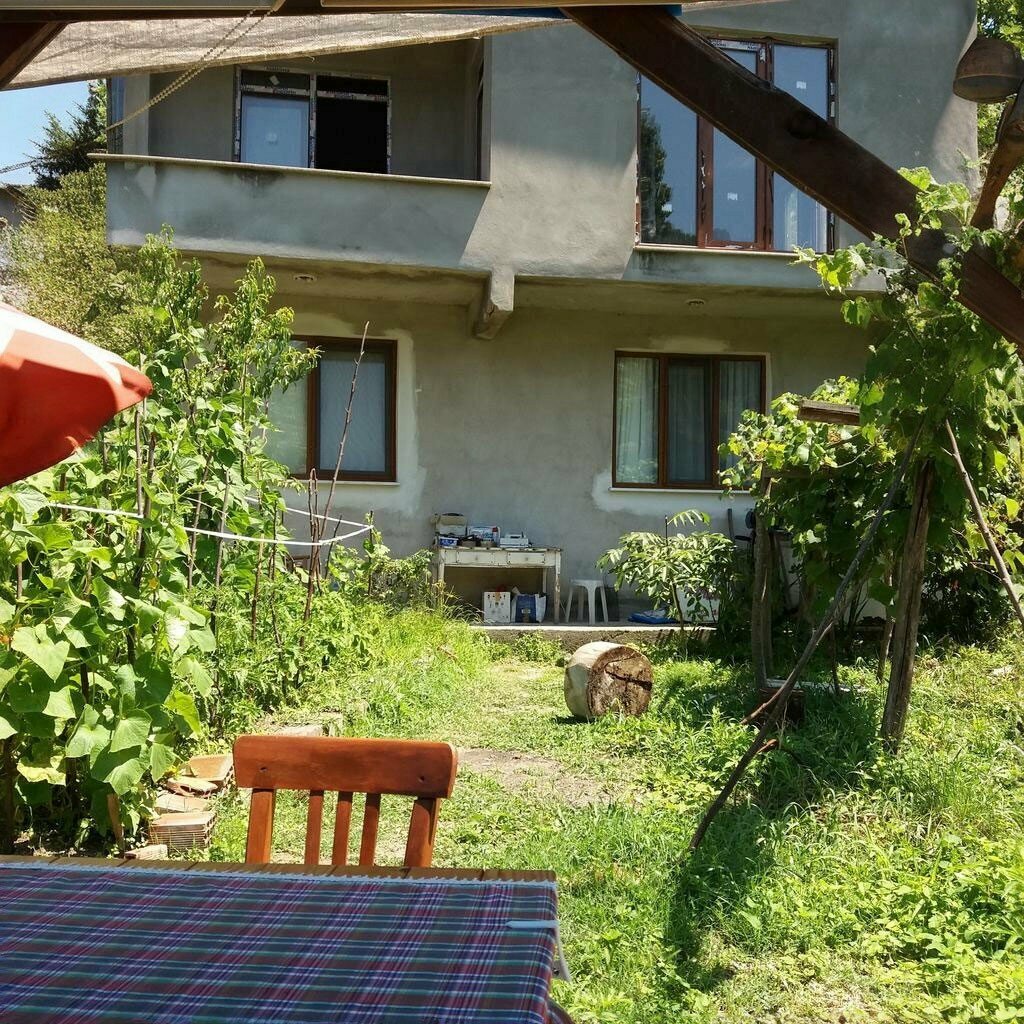 Muhtarlıklar Yenice Köy Muhtarlığı, Cide, foto