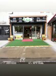 Asya Baklava Bistro Sivas (Sivas, Sivas Merkez , Hikmet Boran Cad., 11B), pasta, şekerleme ve tatlı  Sivas'tan