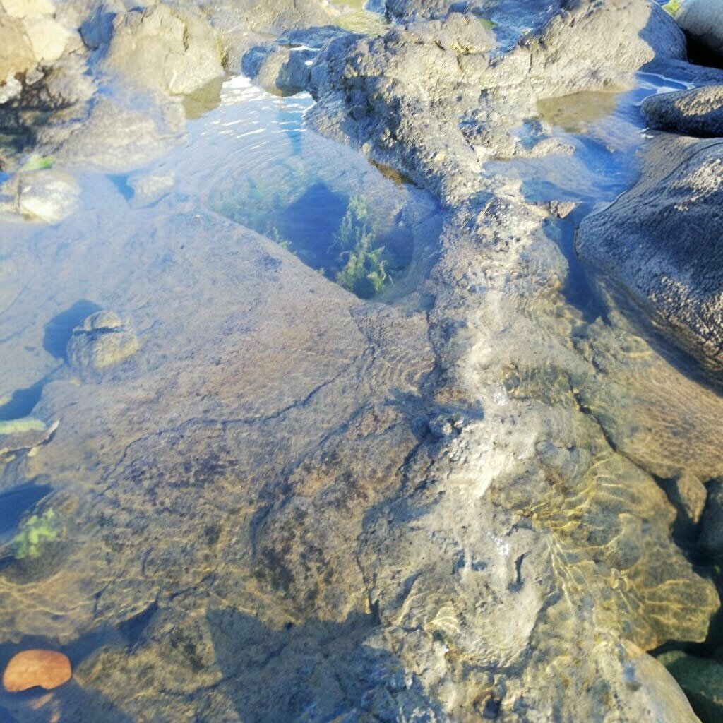 Ekmek fırını Vakfıkebir Taş Fırın Ekmeği, Çarşıbaşı, foto