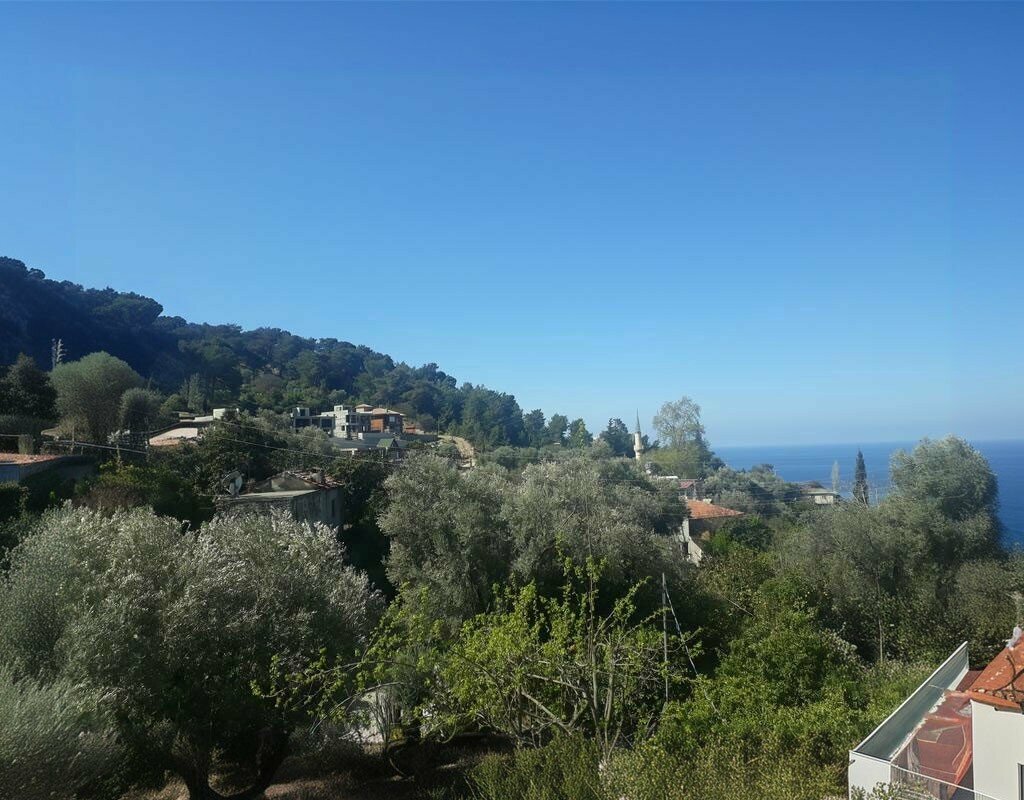 Otel Butterfly Guest House, Fethiye, foto