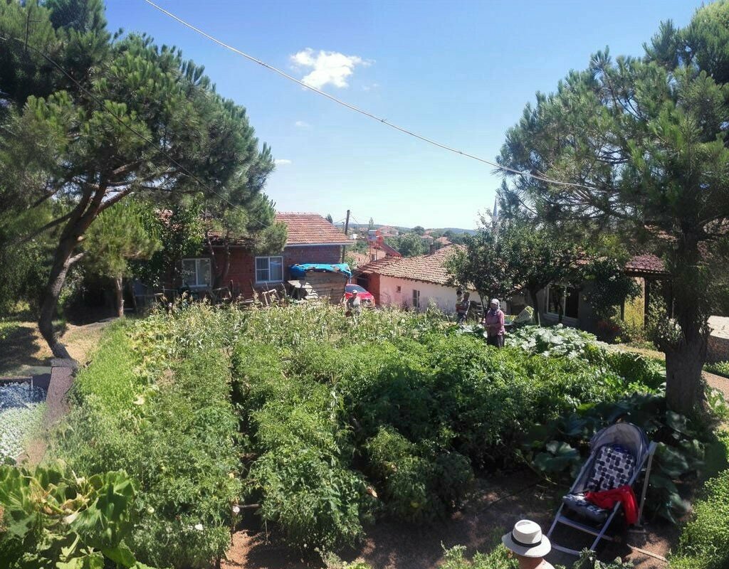 Muhtarlıklar Dörtyol Mahalle Muhtarlığı, Balya, foto