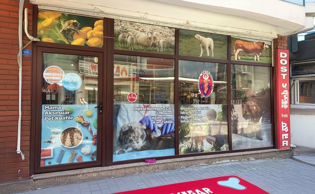 Veteriner klinikleri Dost Veteriner Kliniği, Devrek, foto