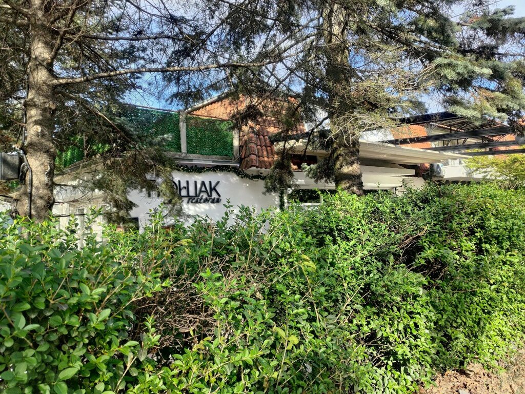 Restoran Cosak, Belgrad, foto