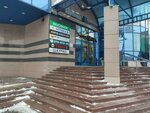 YunDing club (Dzhavakharlala Neru Square No:1), kafe  Moskova'dan