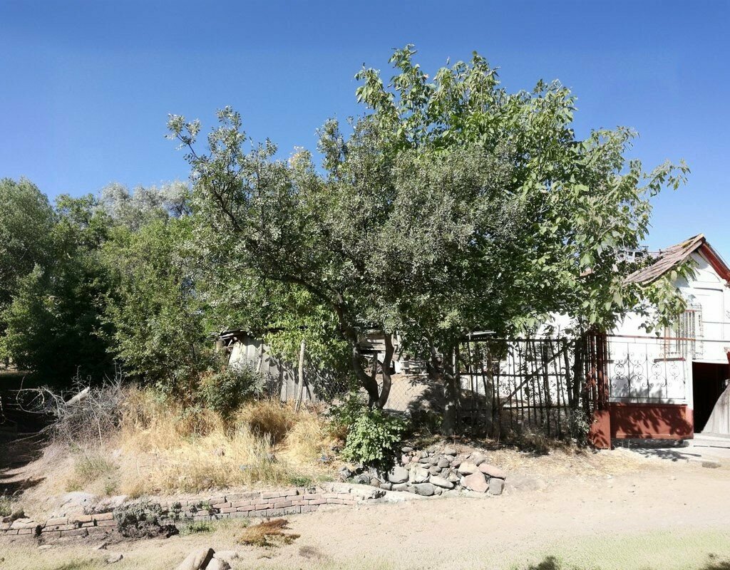 Muhtarlıklar Akören Mahalle Muhtarlığı, Arguvan, foto