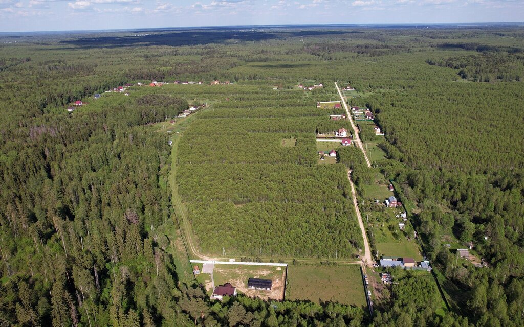 Arazi dizisi Лесные просторы, Moskova ve Moskovskaya oblastı, foto